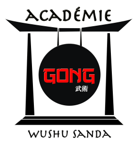 Sanda Boxing – Initiation MMA – Cross Trainning – Emerainville | 07 63 ...