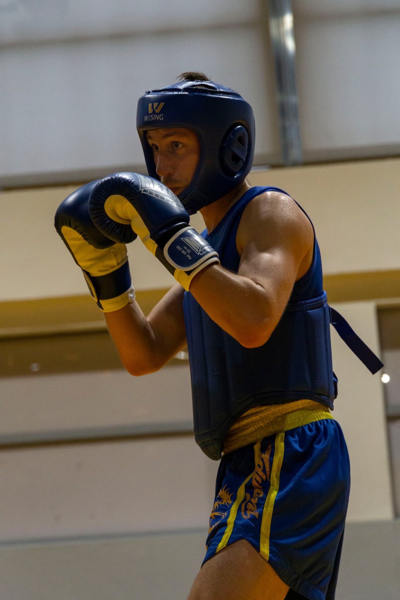 Sanda Boxing – Initiation MMA – Cross Trainning – Emerainville | 07 63 ...